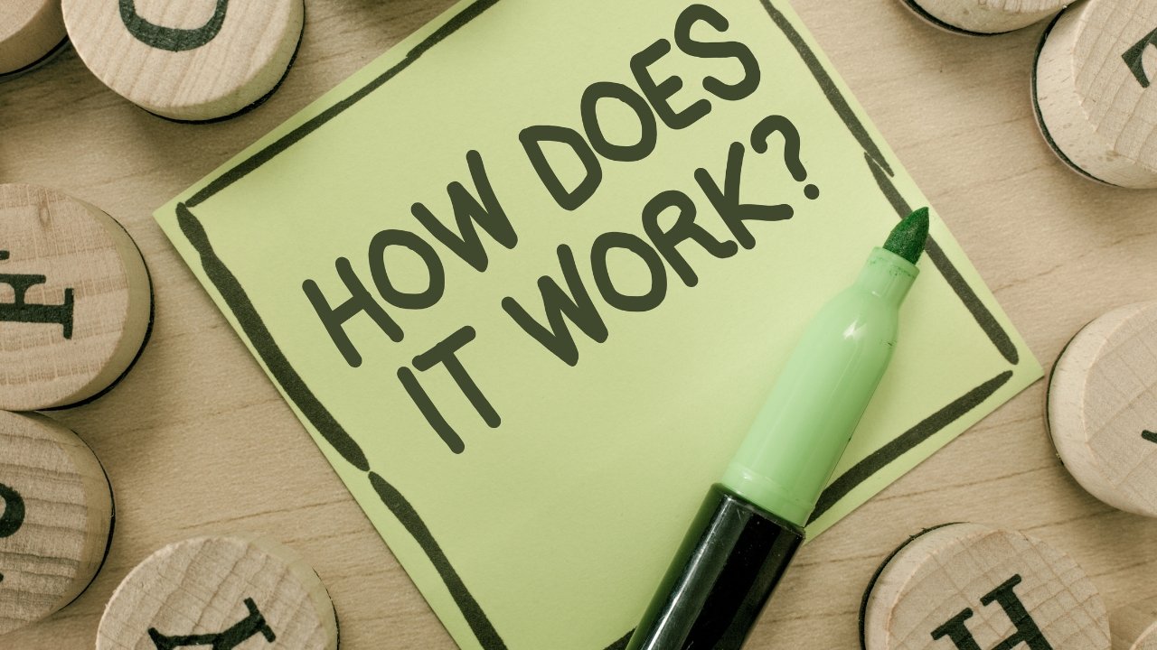 The System Made Me Do It? - Bulletin Edge